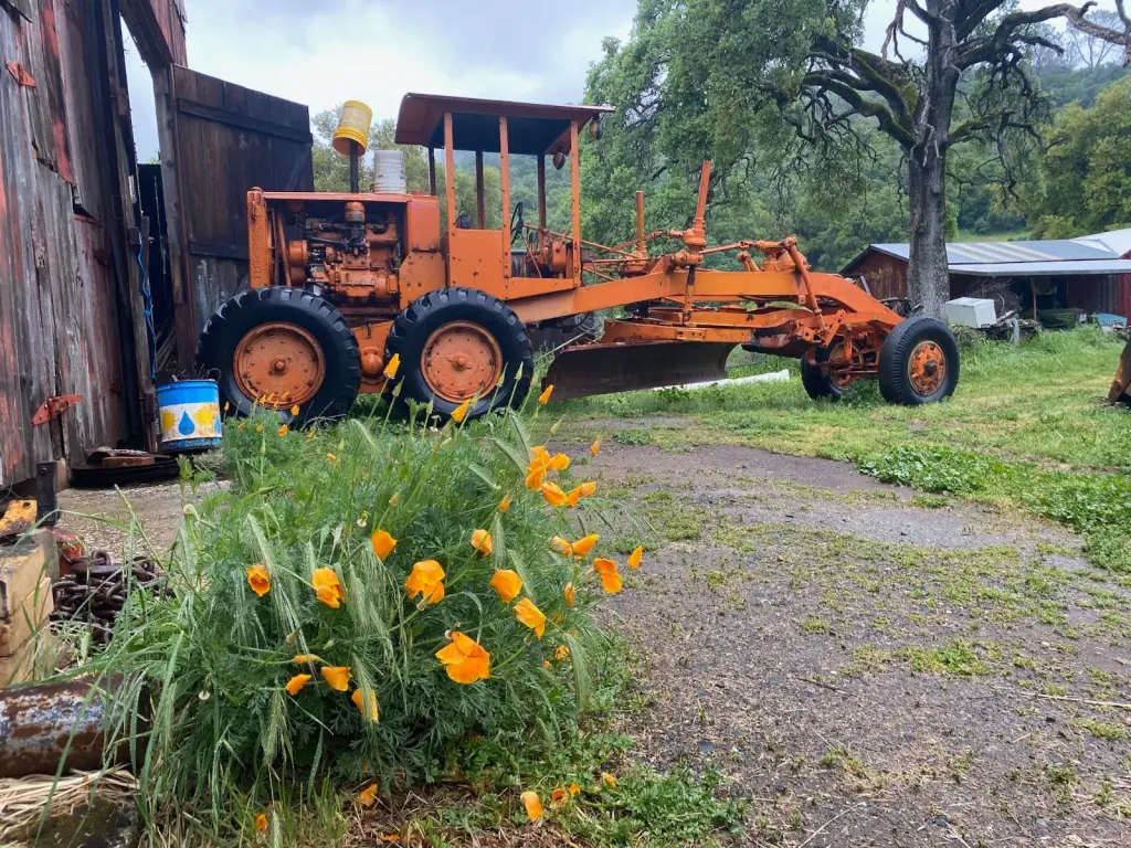 For Sale: Newly Restored 1937 Cat Diesel 11 Auto Patrol Grader ...