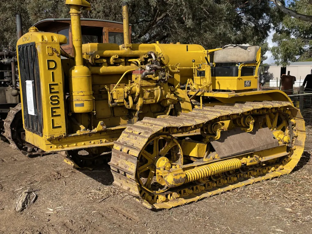 100 Years of Cat in Hamilton. | Forum - ACMOC