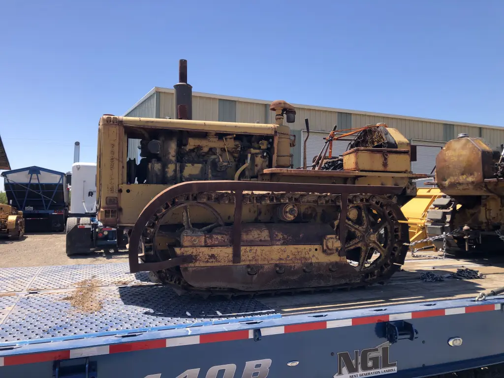 Catch one when you can! | Forum - ACMOC