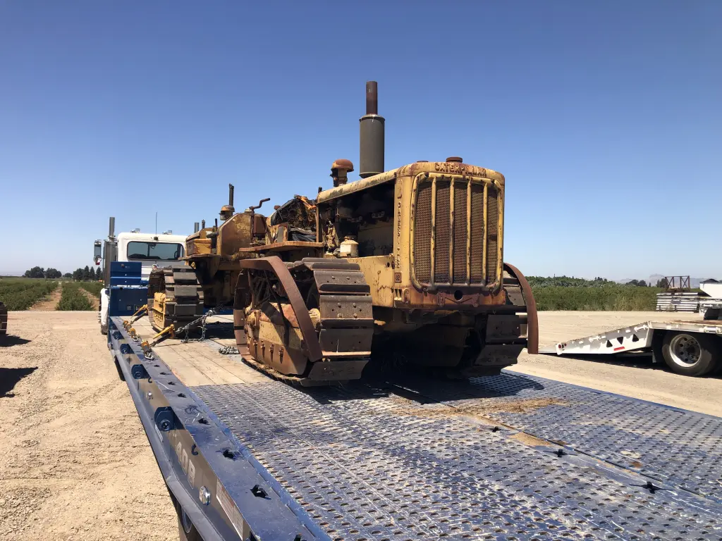 Catch one when you can! | Forum - ACMOC