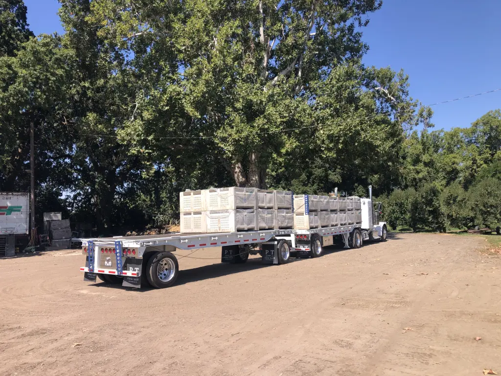 Off color gem for Ray54 | Forum - ACMOC