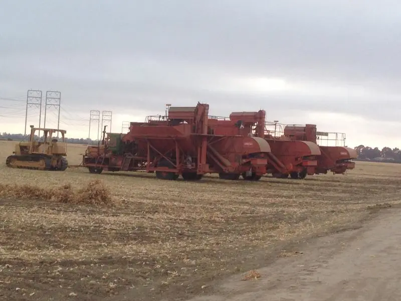 CB HAY Bean Harvesters | Forum - ACMOC