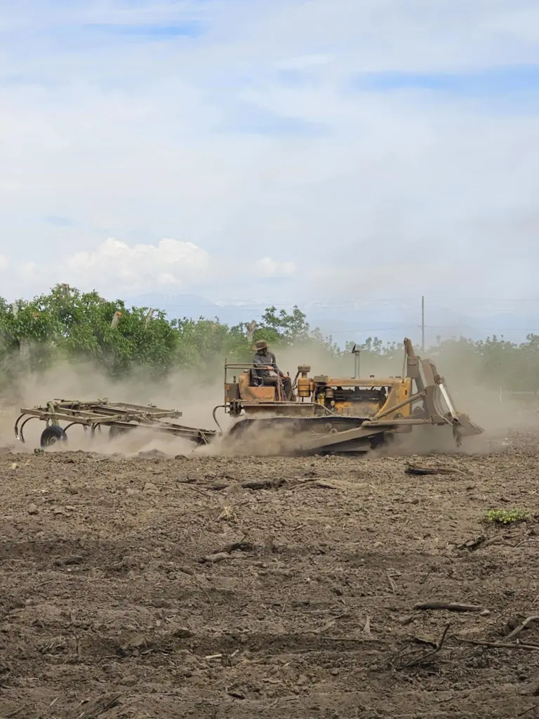 Let’s see some action photos! | Forum - ACMOC