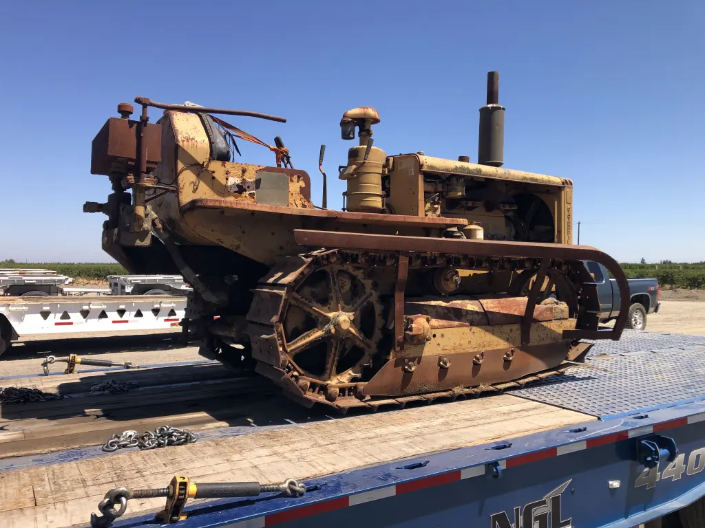 Catch one when you can! | Forum - ACMOC